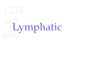 Lymphatic Font Free [Download Now]
