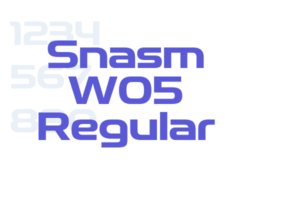 Snasm W05 Regular Font Free [Download Now]